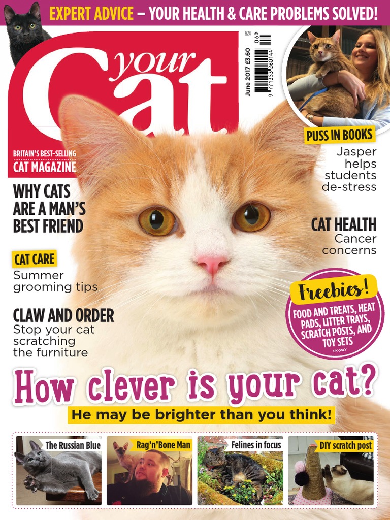 Your Cat | PDF | Cats | Domesticated Animals