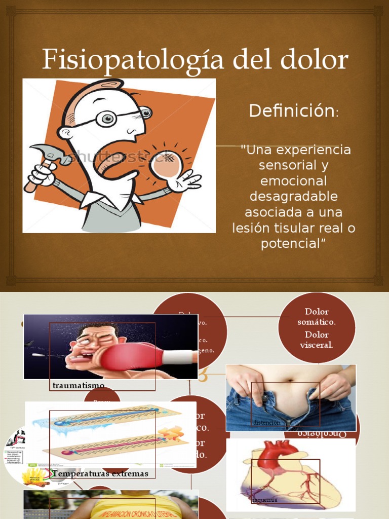 Fisiopatología Del Dolor | Dolor | Neurociencia