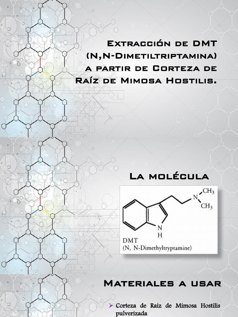 Dimetiltriptamina Extracción | Agua | Química