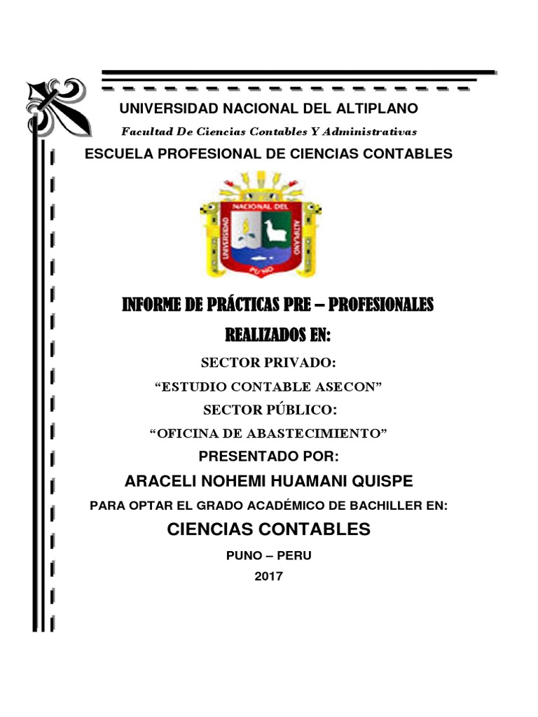 Caratula Informe Una Puno | PDF