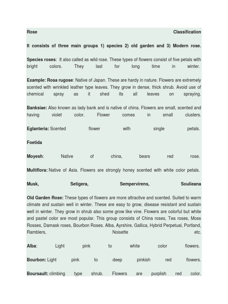 Rose Classification | PDF | Botany | Horticulture And Gardening