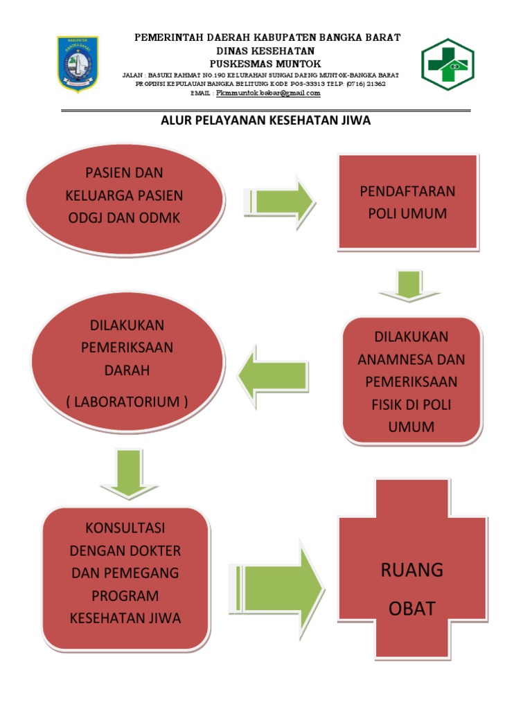 Alur Pelayanan Kesehatan Jiwa | PDF