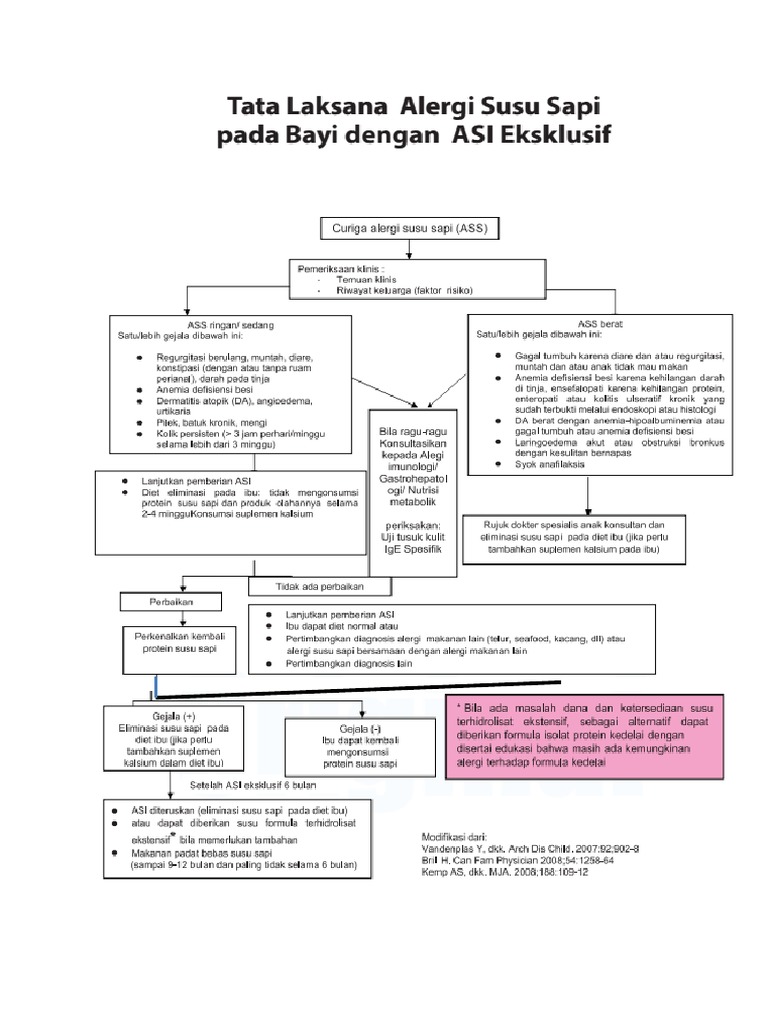 Tata Laksana Alergi Susu Sapi Pada Bayi | PDF