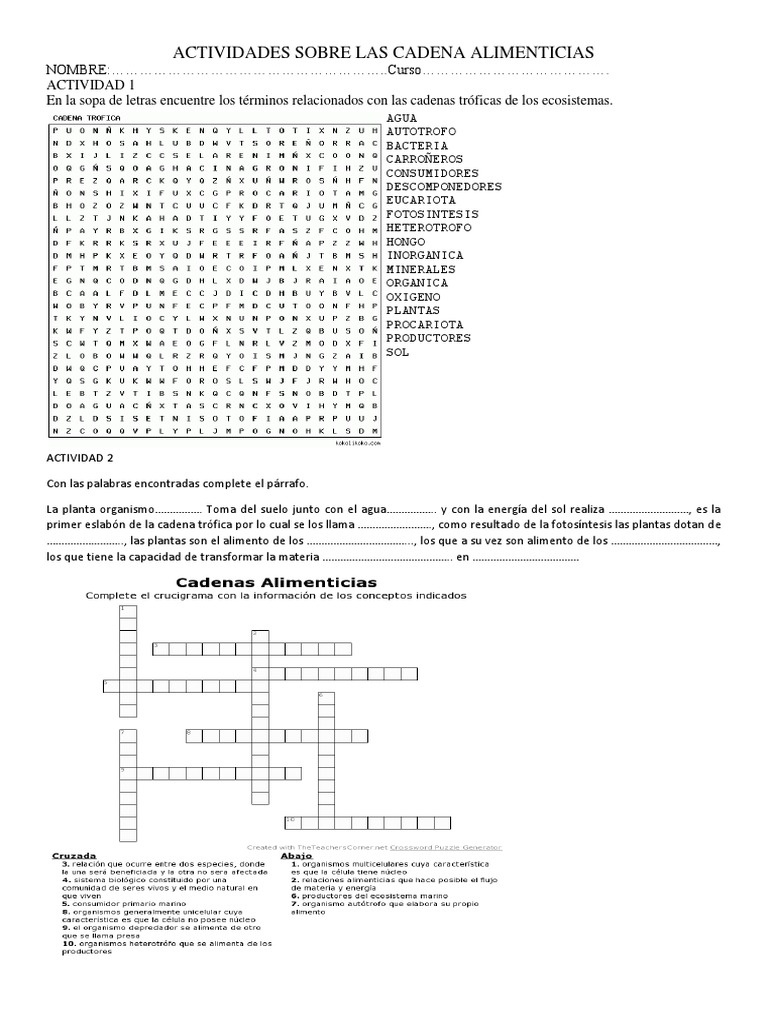 Actividades sobre la cadena alimenticia | PDF
