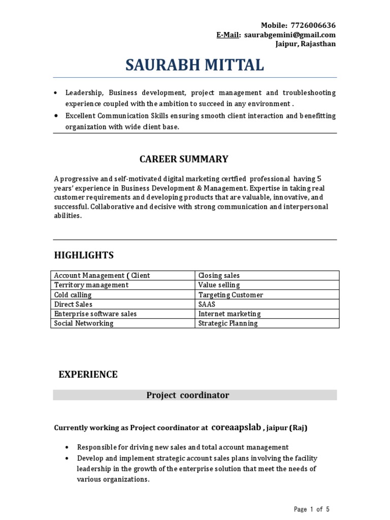 Saurabh Mittal - CV | PDF | Magento | Sales