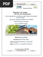Organigramme Ocp Nouveau | PDF | Maroc | Business