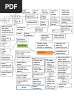 Pathway Cholelithiasis | PDF