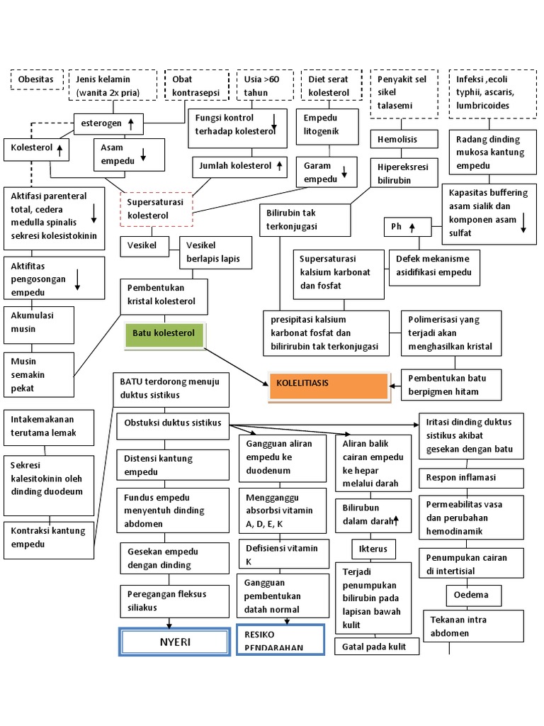 Patofisiologi dan Faktor Risiko Kolelitiasis | PDF