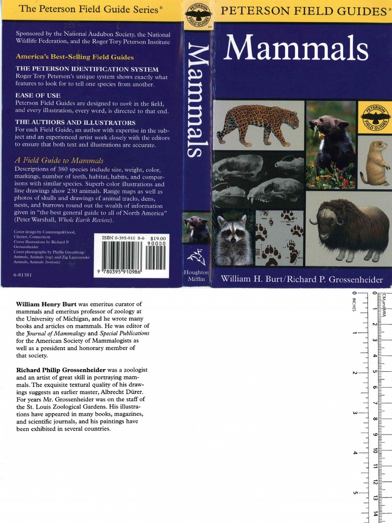 Peterson-Field Guide to the Mammals 3rdEd