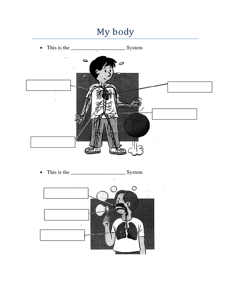 My Body: This Is The - System | PDF