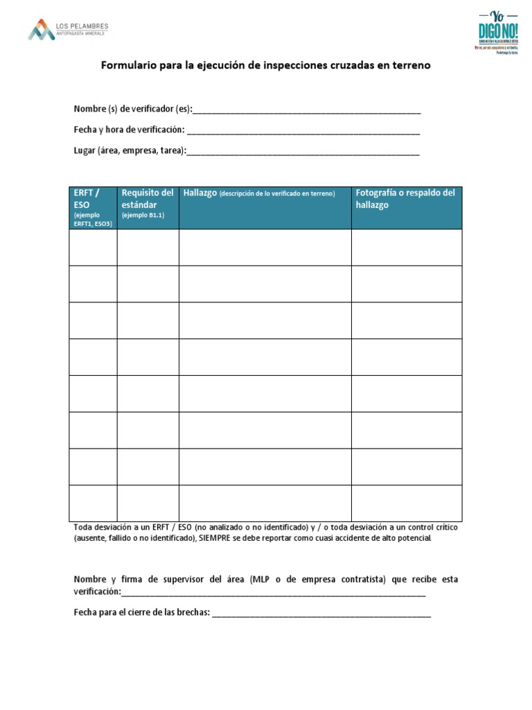 Formulario de Inspecciones Cruzadas | PDF | Informática | Tecnología