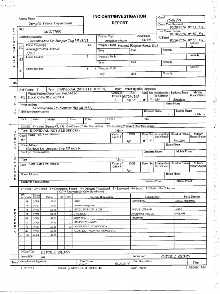 Incident Report 2 | PDF