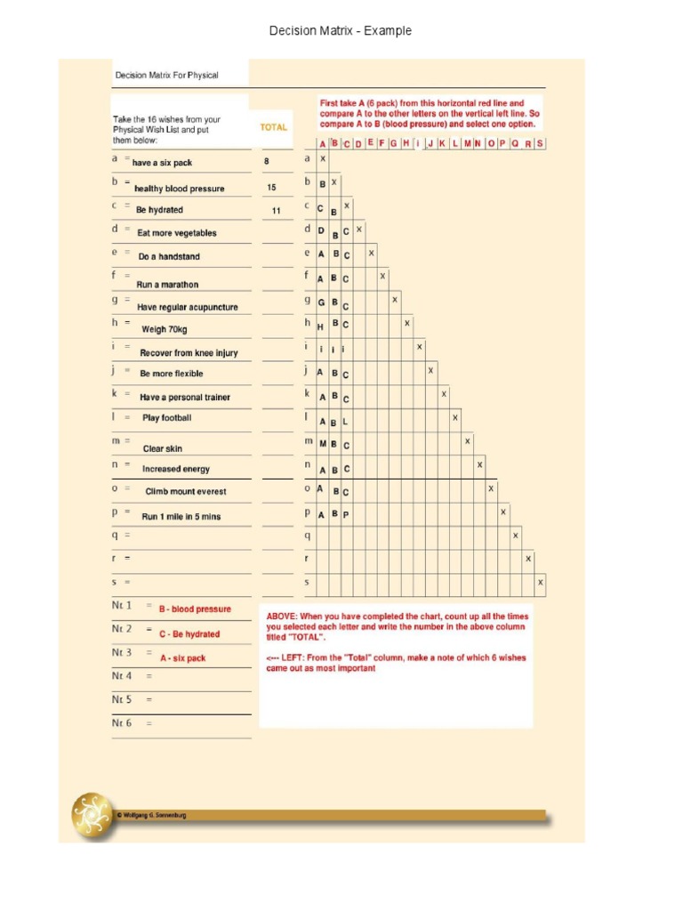 Decision Matrix Example | PDF