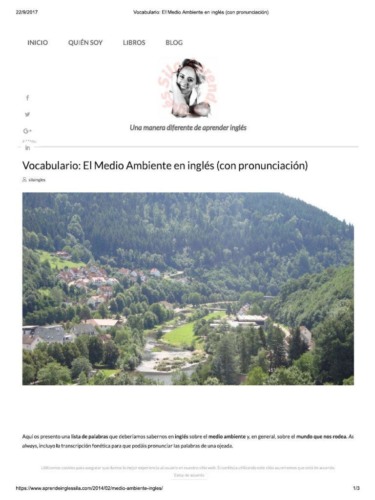 Vocabulario Medio Ambiente | PDF