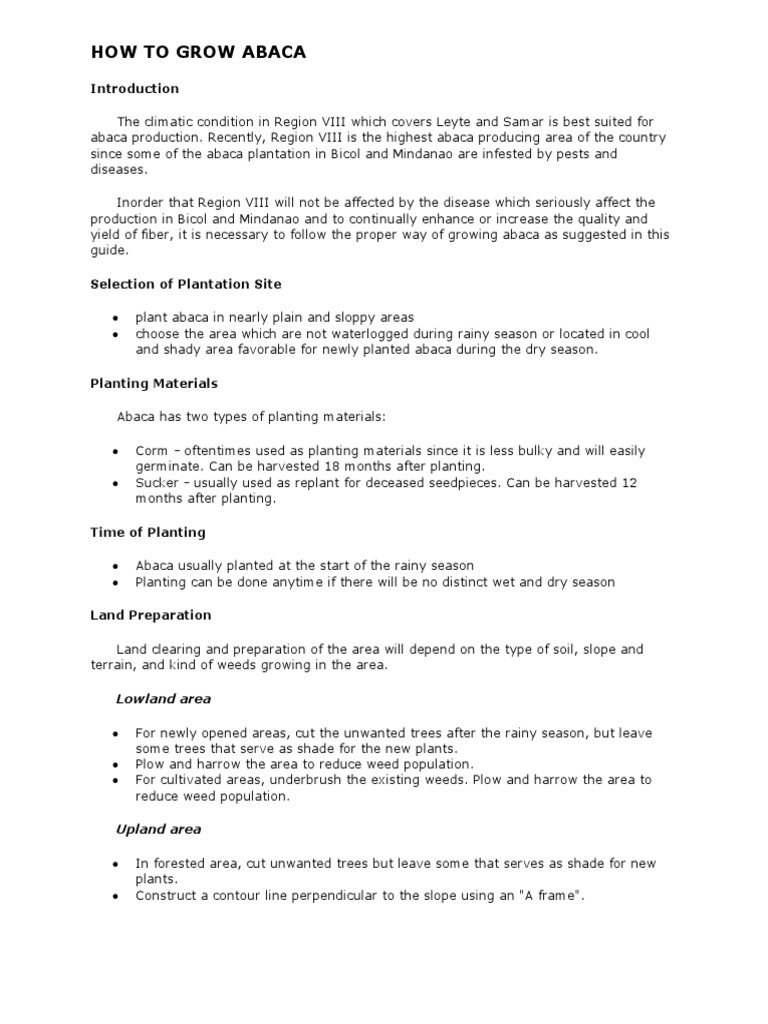 How To Grow Abaca | PDF | Soil | Fertilizer