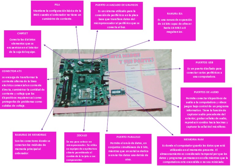 Componentes Internos | PDF | Periférico | Hardware de la computadora