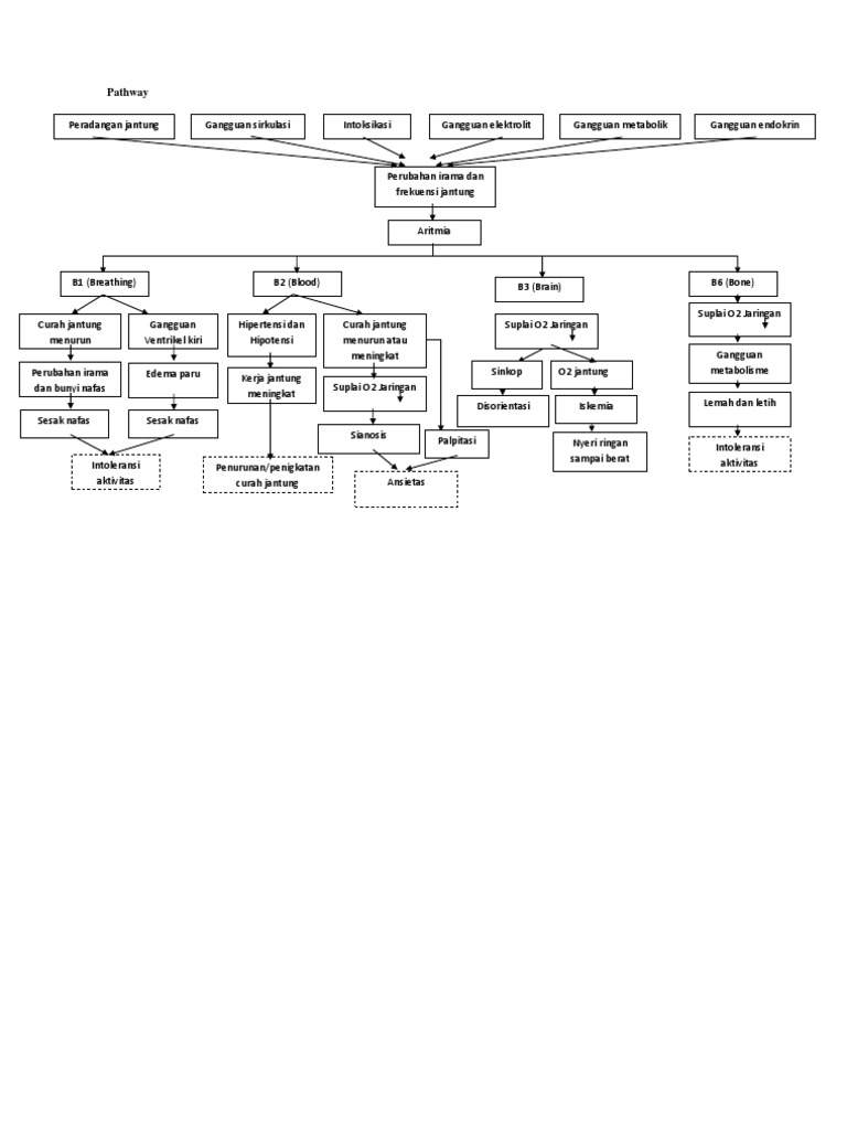 Pathway Aritmia | PDF