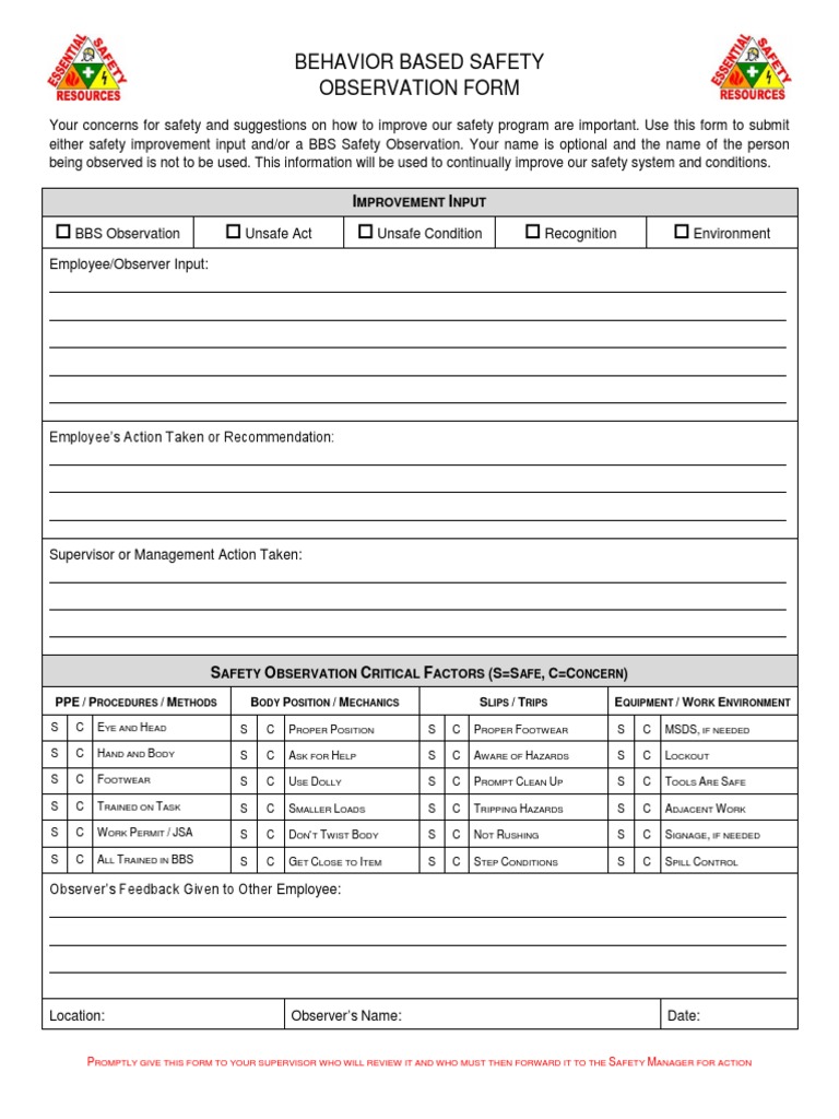 GS 3004 BBS Observation Form