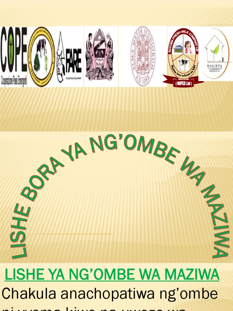 Lishe Bora Ya Ng'ombe Fare Project Cope Tanzania | PDF