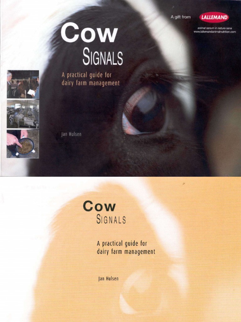 Cow Signals | PDF | Cattle | Vertebra