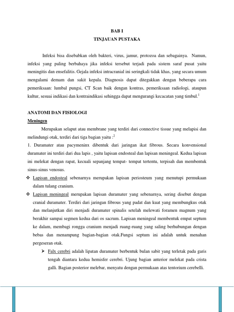 Referat Infeksi Intrakranial | PDF