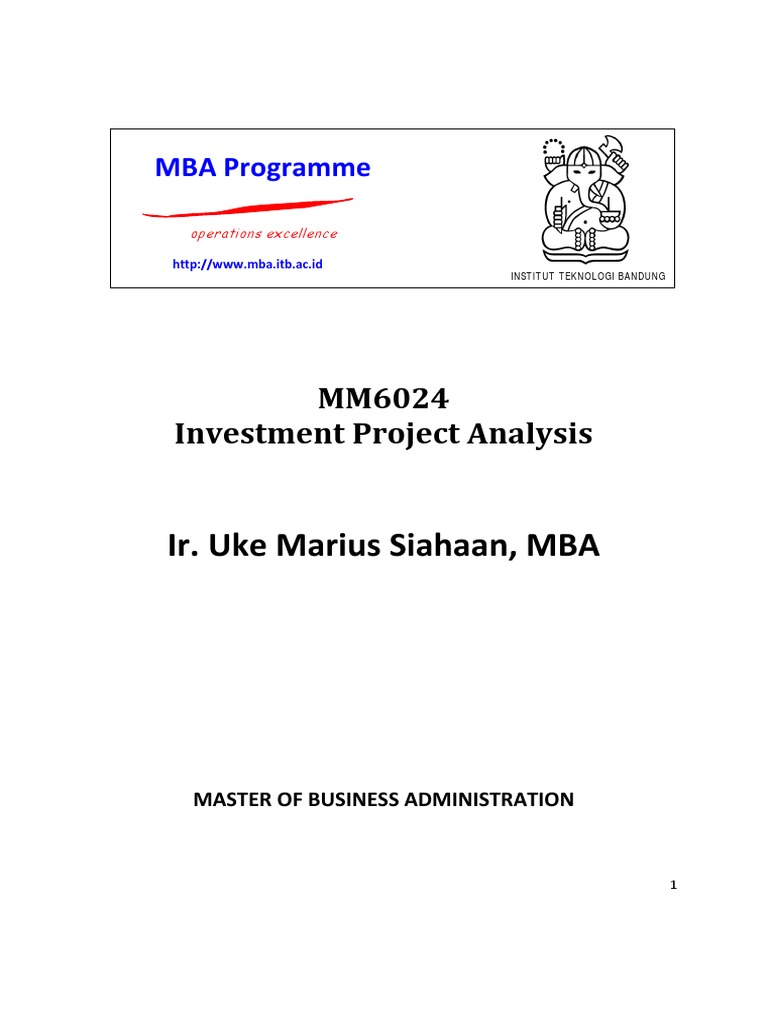 MM6024 Investment Project Analysis | PDF