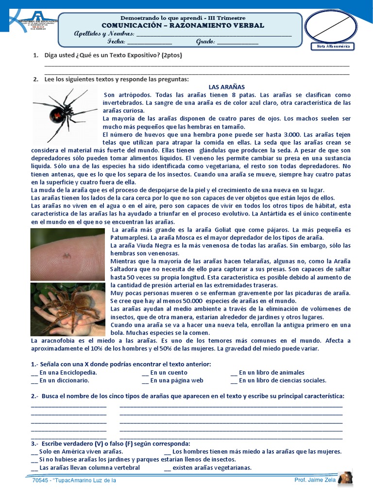 Ficha Informativa sobre Arañas para Niños | PDF | Araña | Naturaleza