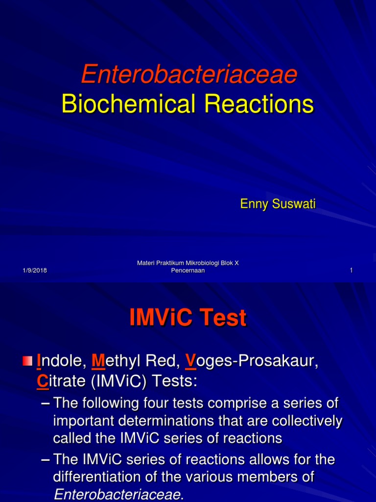 Enterobacteriaceae Biokimia Test | PDF