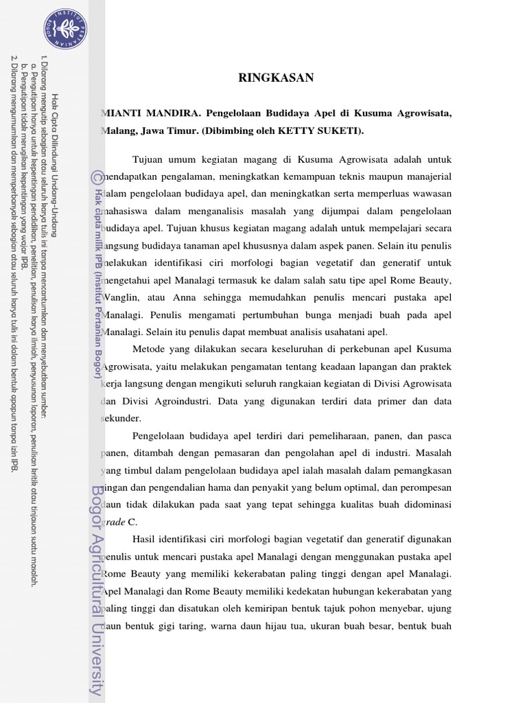 Budidaya Apel PDF | PDF