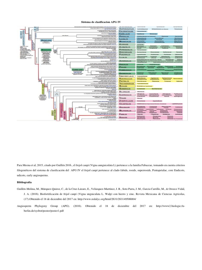 Sistema de Clasificacion APG IV | PDF | Nomenclatura botánica | Taxonomía Vegetal