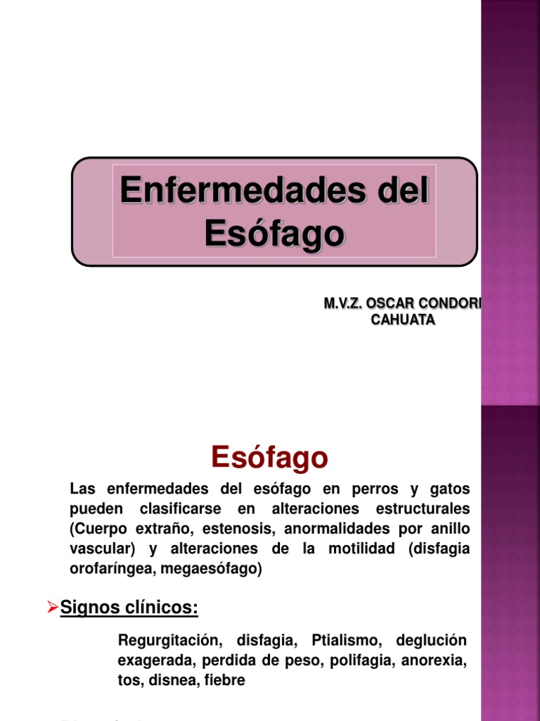 Esofago | PDF | Esófago | Especialidades Medicas