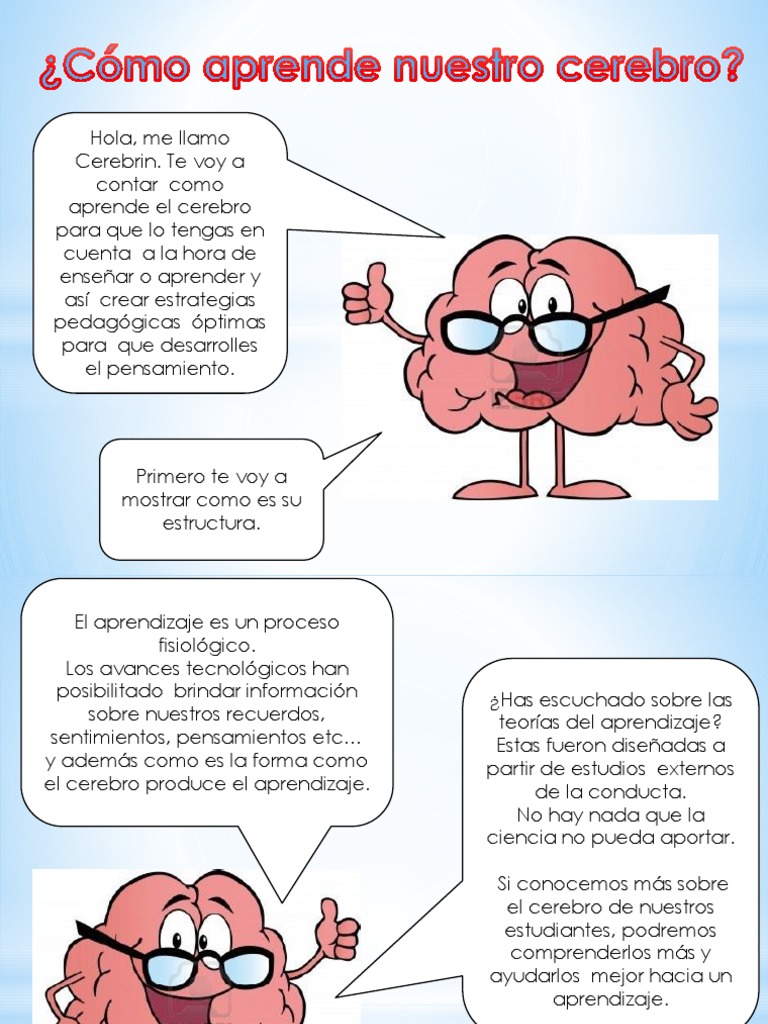 Como Aprende El Cerebro Pdf Cerebro Sinapsis