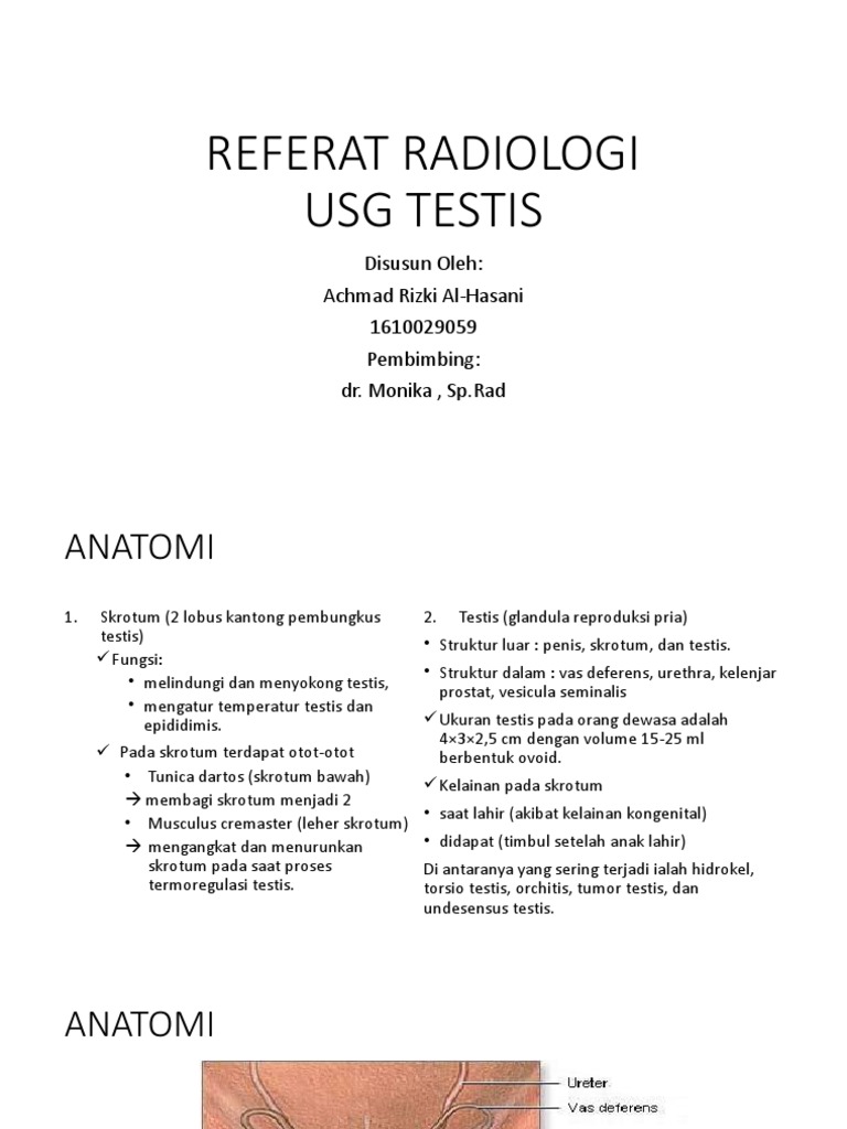USG Testis: Teknik dan Kelainan | PDF | Sains & Matematika
