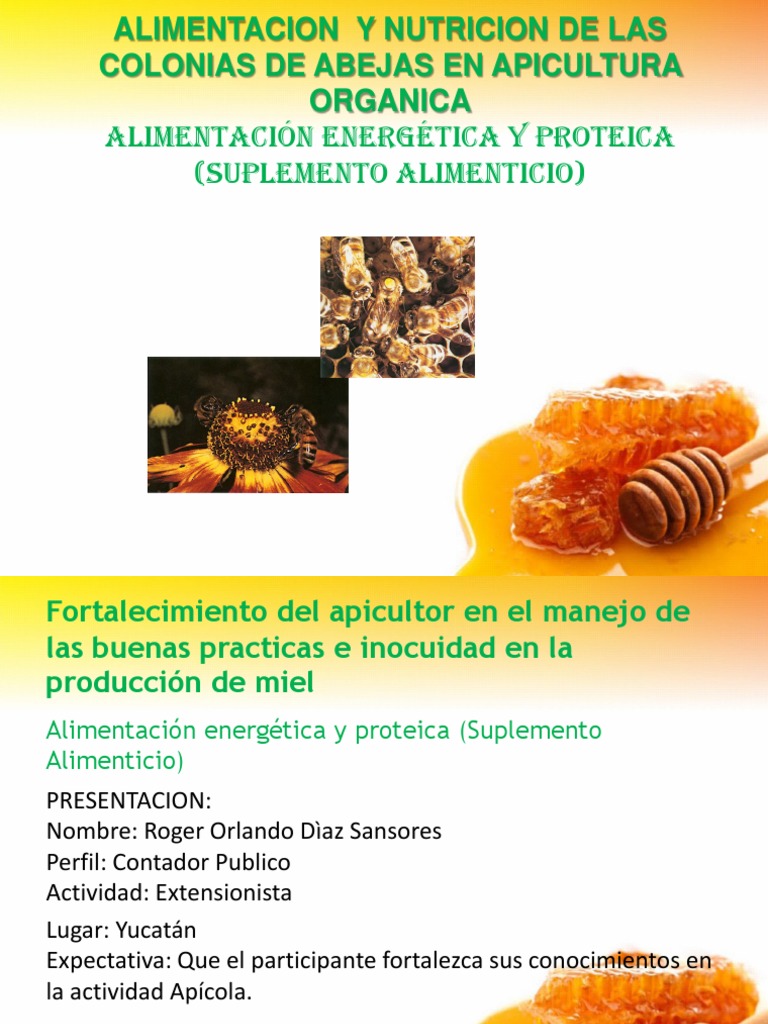 Alimentaciòn de Las Abejas | Western Honey Bee | Apicultura