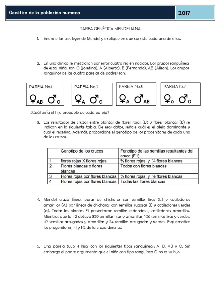 Problemas de Genetica Mendeliana | PDF | Dominancia (Genética) | Genética