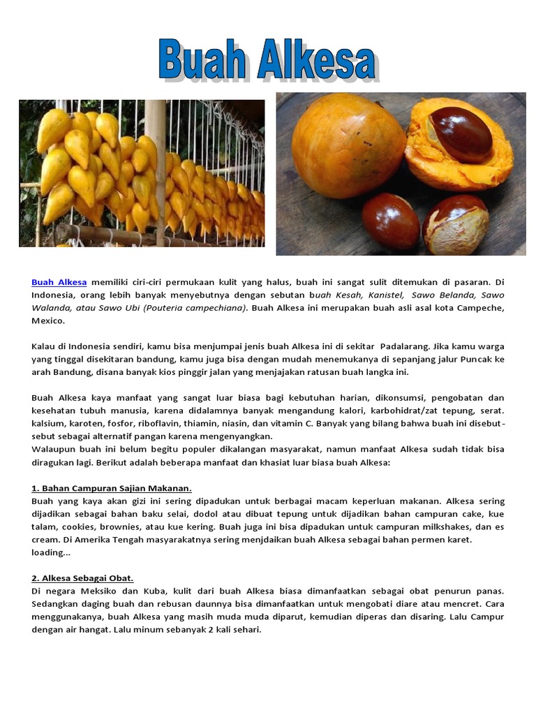 Buah Alkesa | PDF | Griya & Taman | Kesehatan Holistik