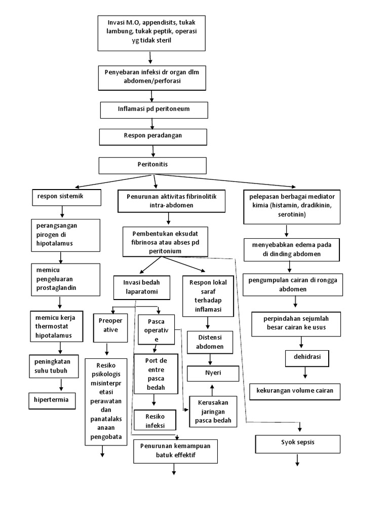 Patofisiologi Peritonitis