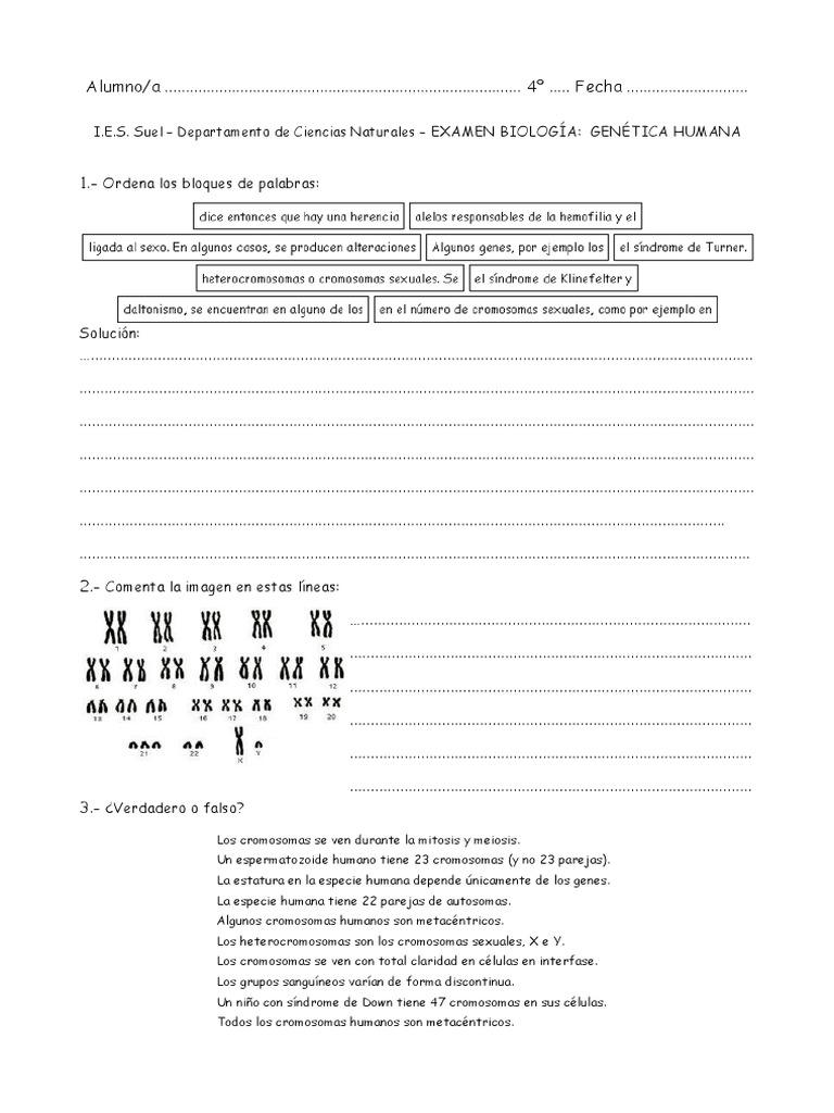 Examen Genética Humana 4º ESO | PDF | Dominancia (Genética) | Cromosoma