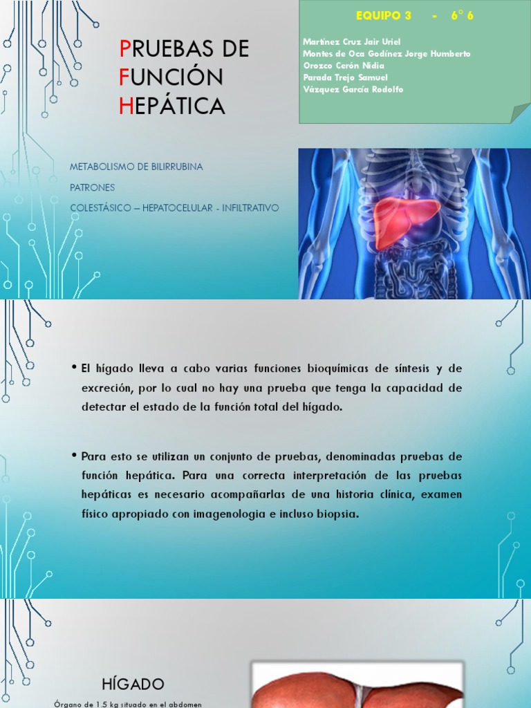 Pruebas de Función Hepática | Hepatitis | Transaminasa