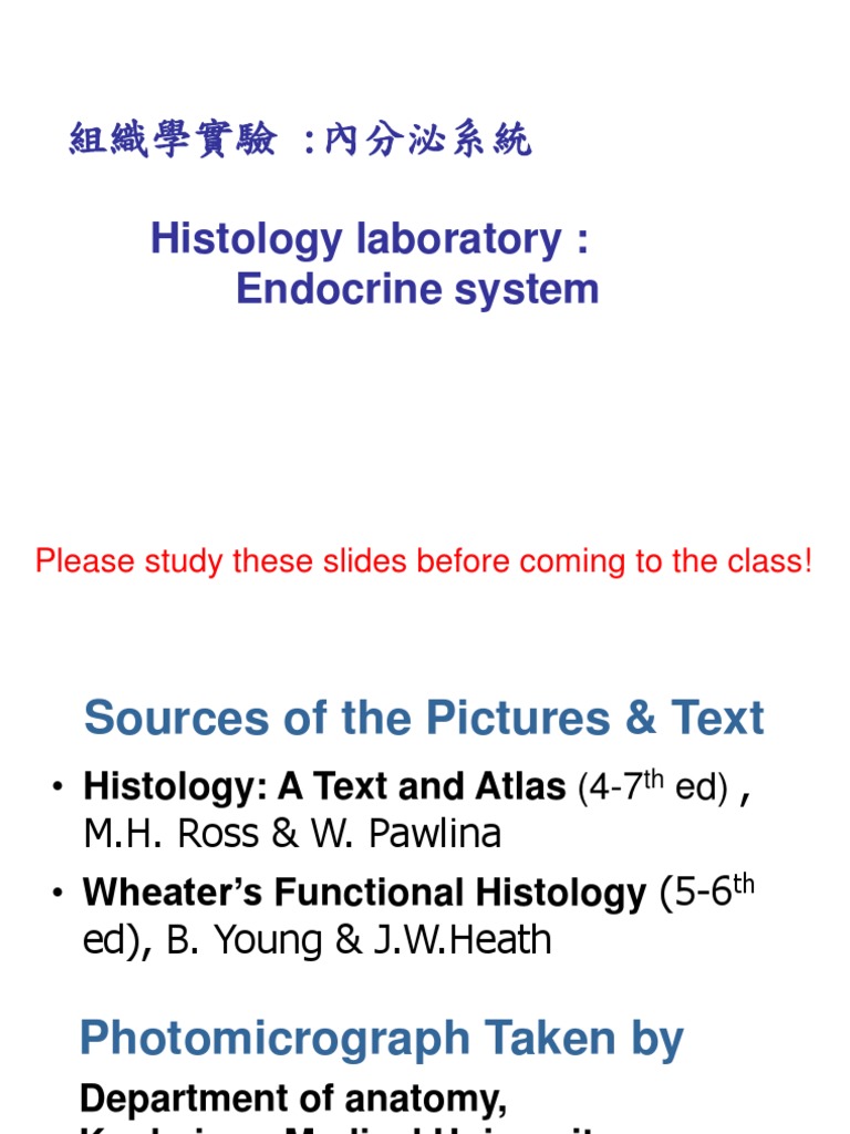 Histology Laboratory: Endocrine System: Please Study These Slides ...