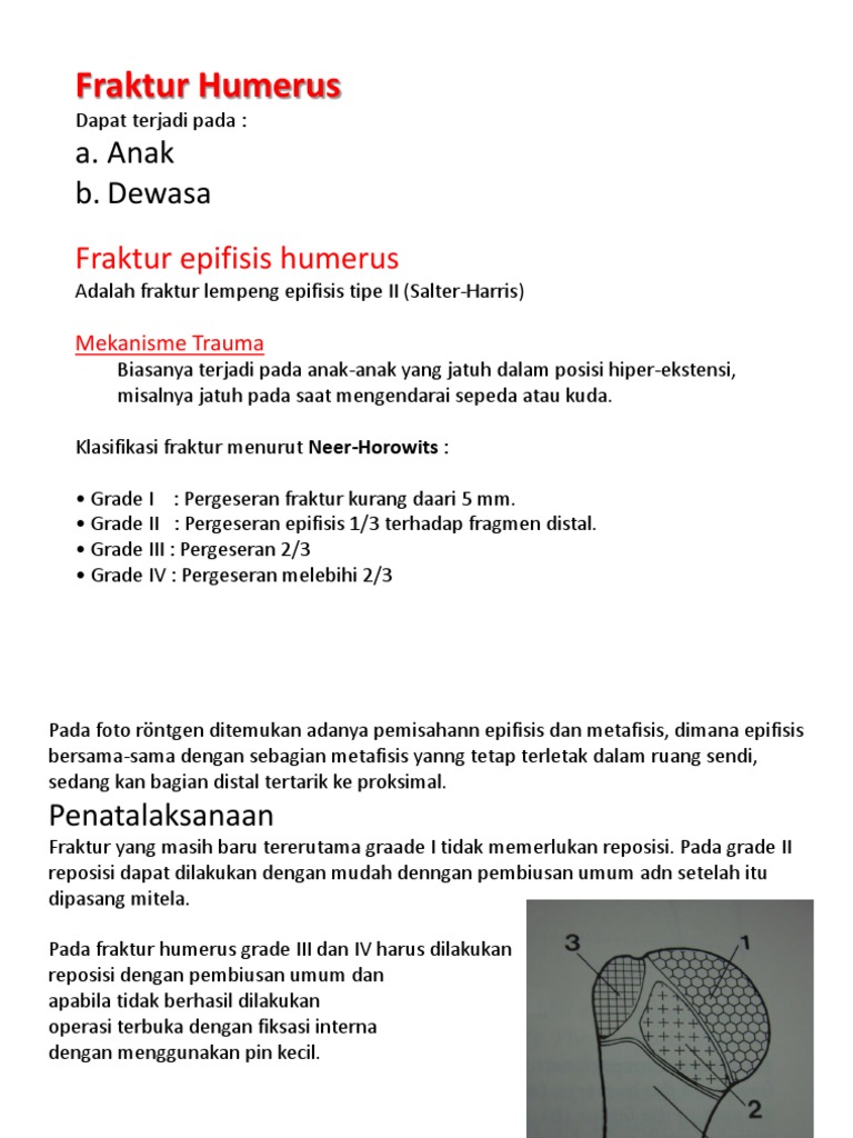 Fraktur Arm | PDF