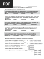 Biomolecules Grade 10 | PDF