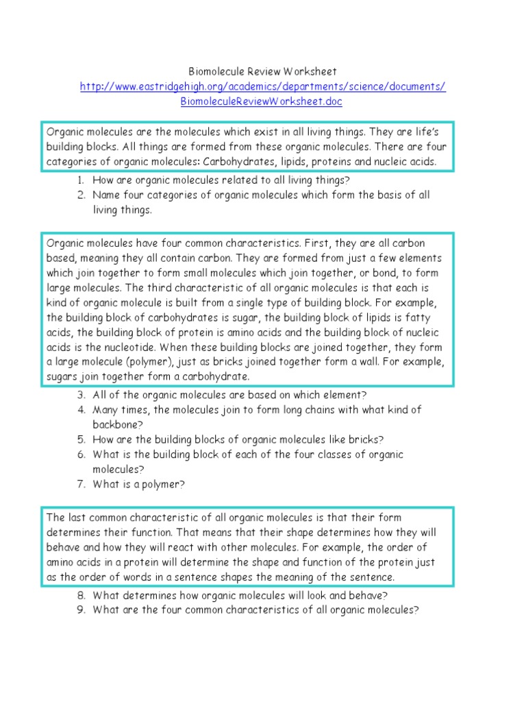 Bio Molecule Review Worksheet | PDF | Nucleic Acids | Nucleotides