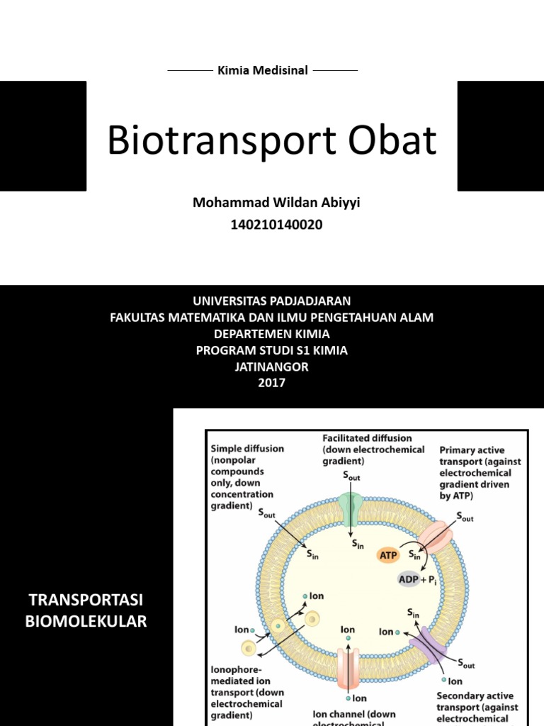 Biotransport Obat | PDF