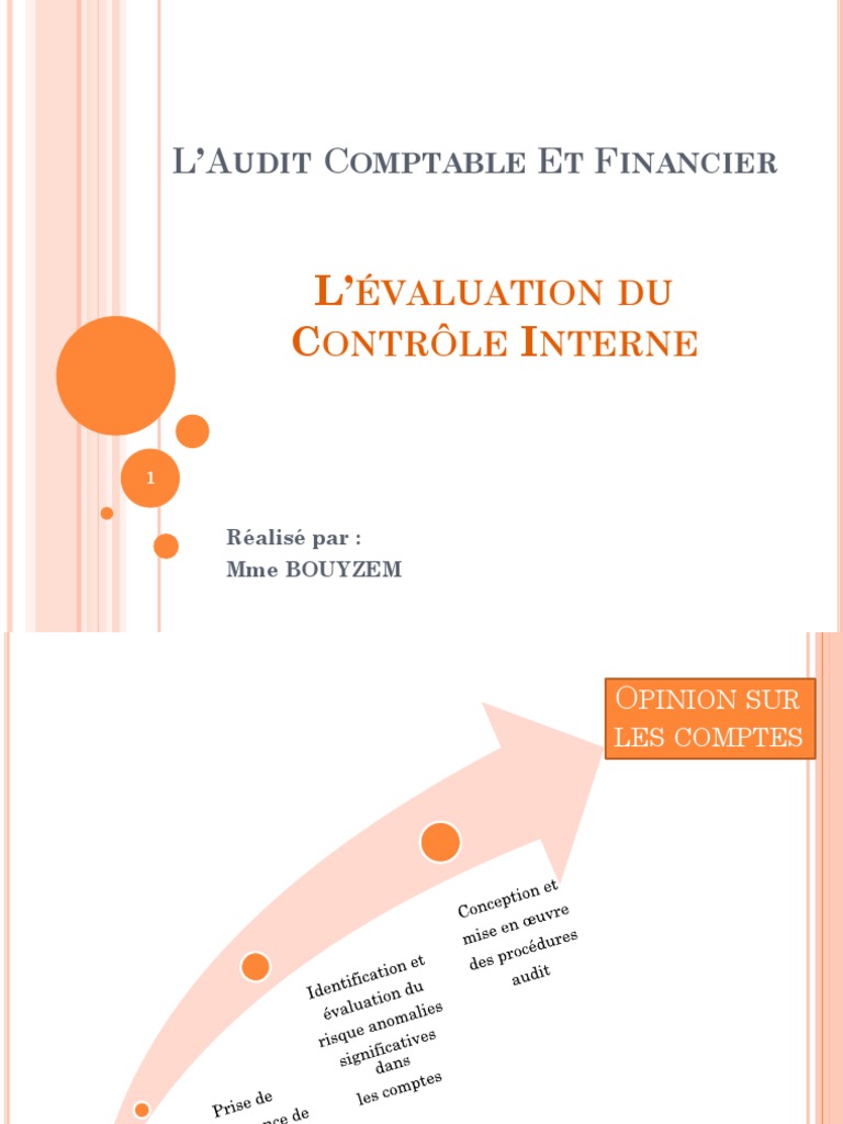 Lévaluation Du Contrôle Interne | PDF | Contrôle interne | Facture