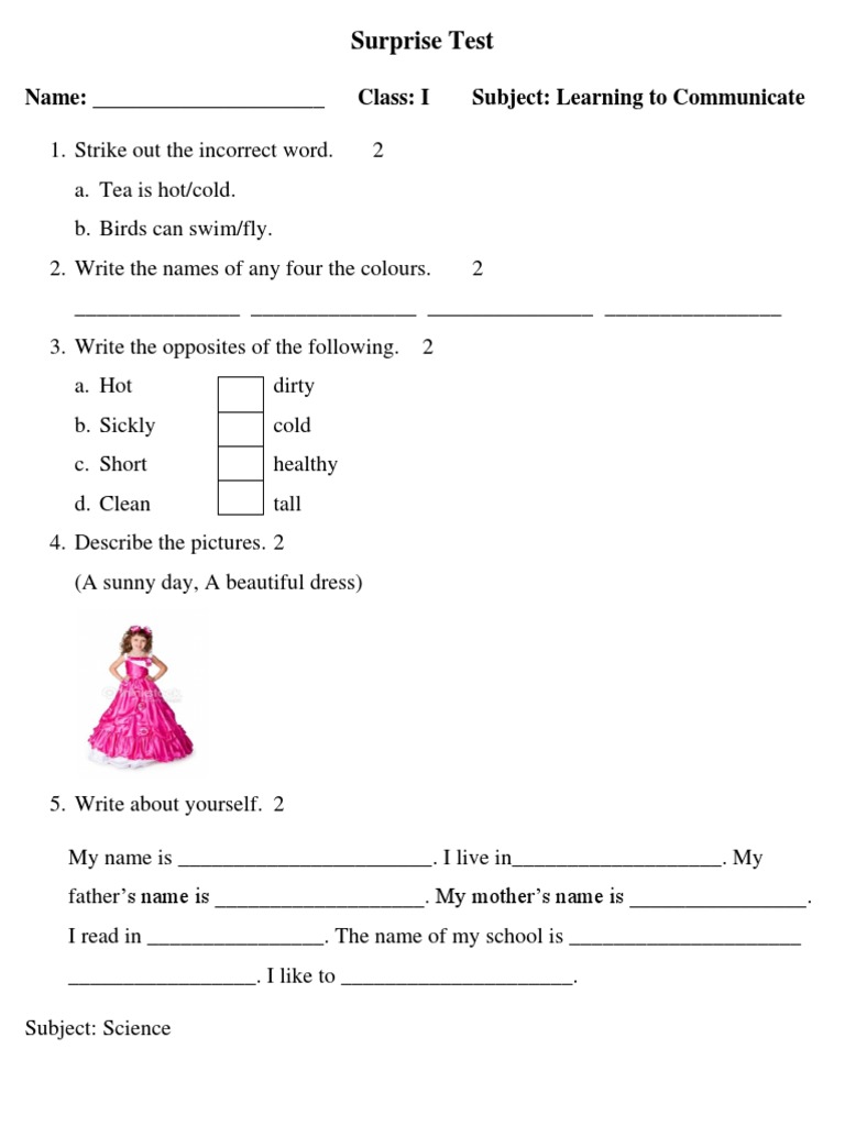 Surprise Test: Name: - Class: I Subject: Learning To Communicate | PDF