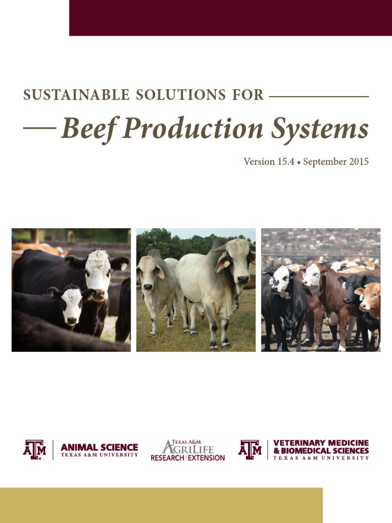 Beef Production Systems: Sustainable Solutions For | PDF | Climate ...