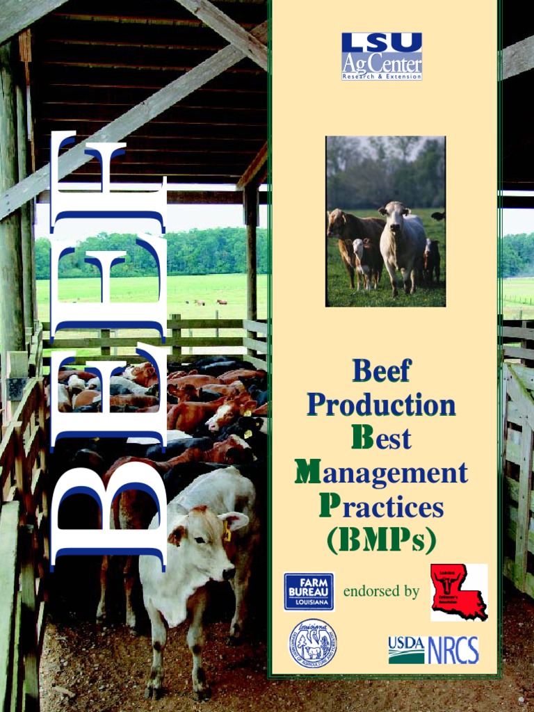 Beef BMPs LSU 7 07 PDF | PDF | Grazing | Surface Runoff