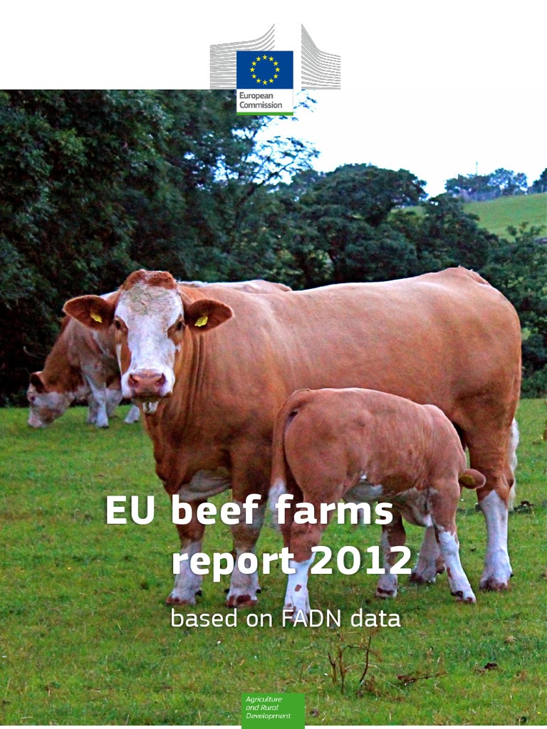 Beef Report 2012 PDF | PDF | Output (Economics) | European Union