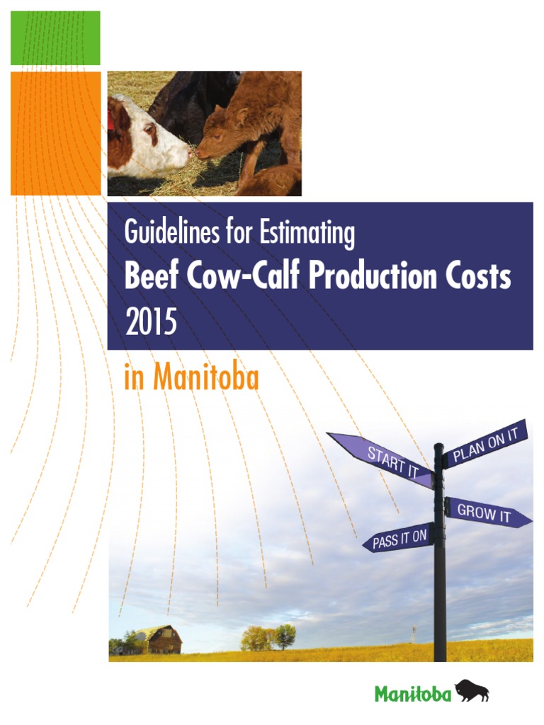 Guidelines For Estimating: Beef Cow-Calf Production Costs | PDF ...